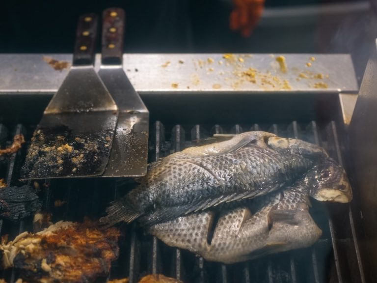 10 Best Edible Fishes For an Aquaponics System